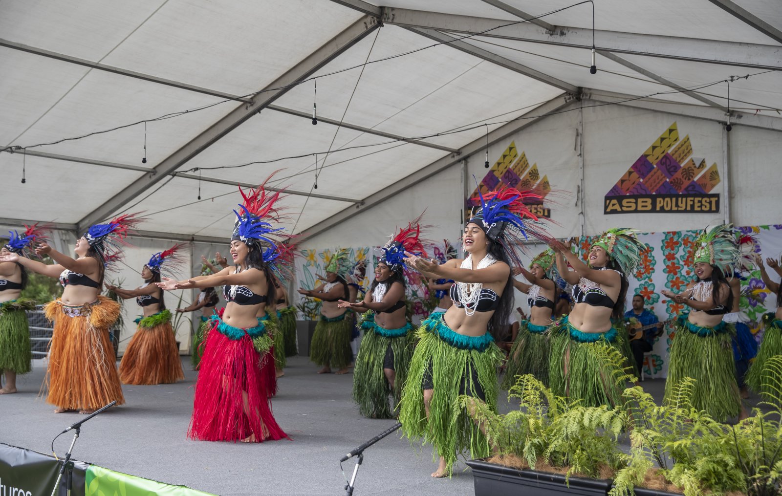 Meech - Polyfest 2019 | All | BC Photography New Zealand
