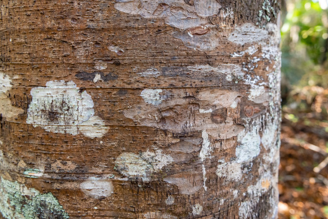 Rob Stone Photography Wall Art | All | Rob Stone Photography