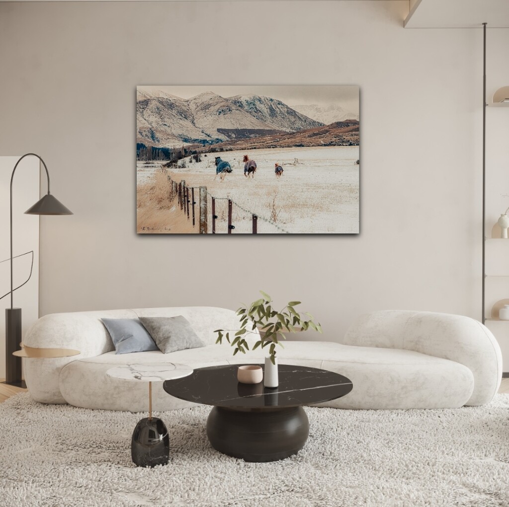 Kerri Back Photography