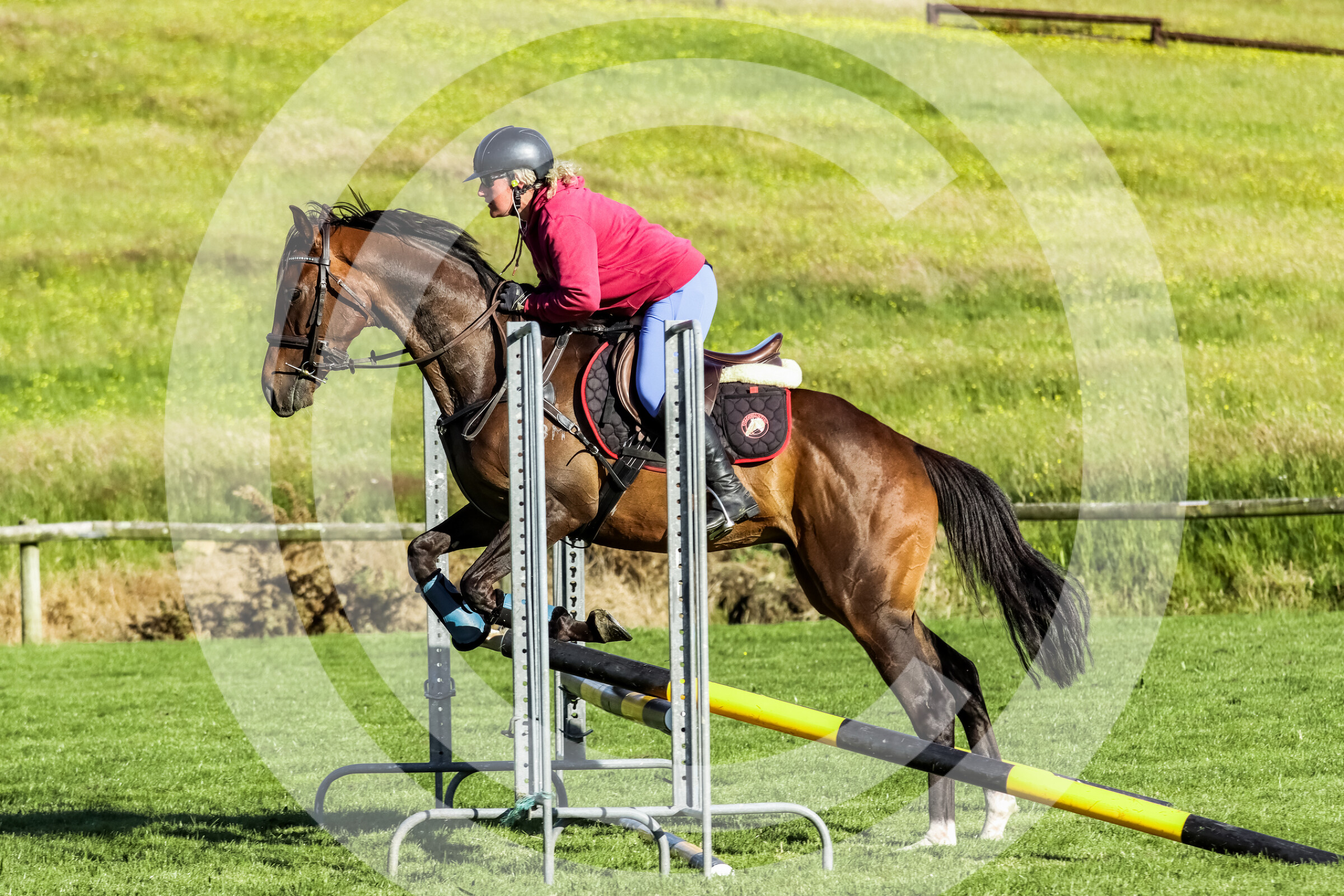 LAURA COLLETT COURSE - DUNEDIN | All | Kerri Back Photography