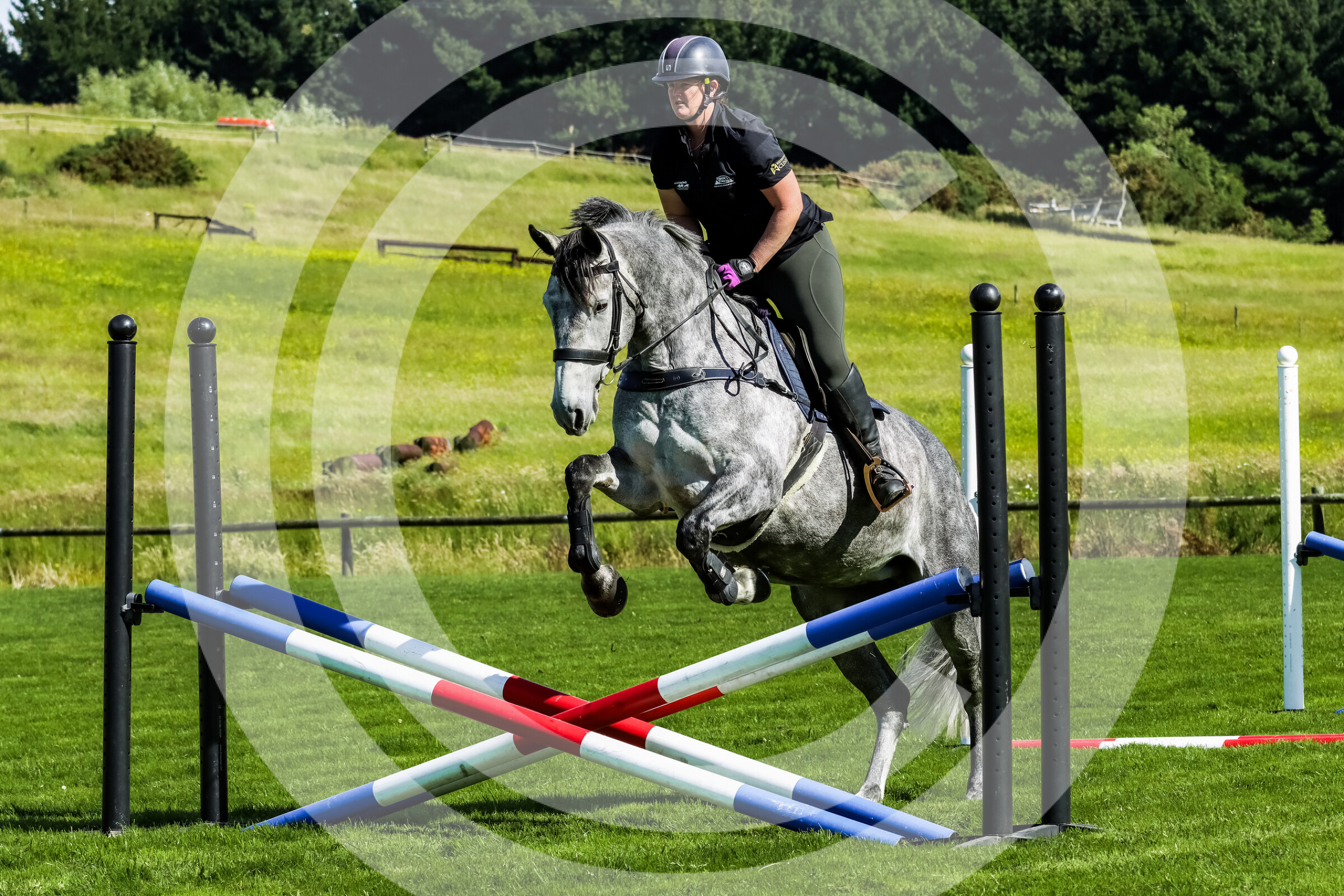 LAURA COLLETT COURSE - DUNEDIN | All | Kerri Back Photography