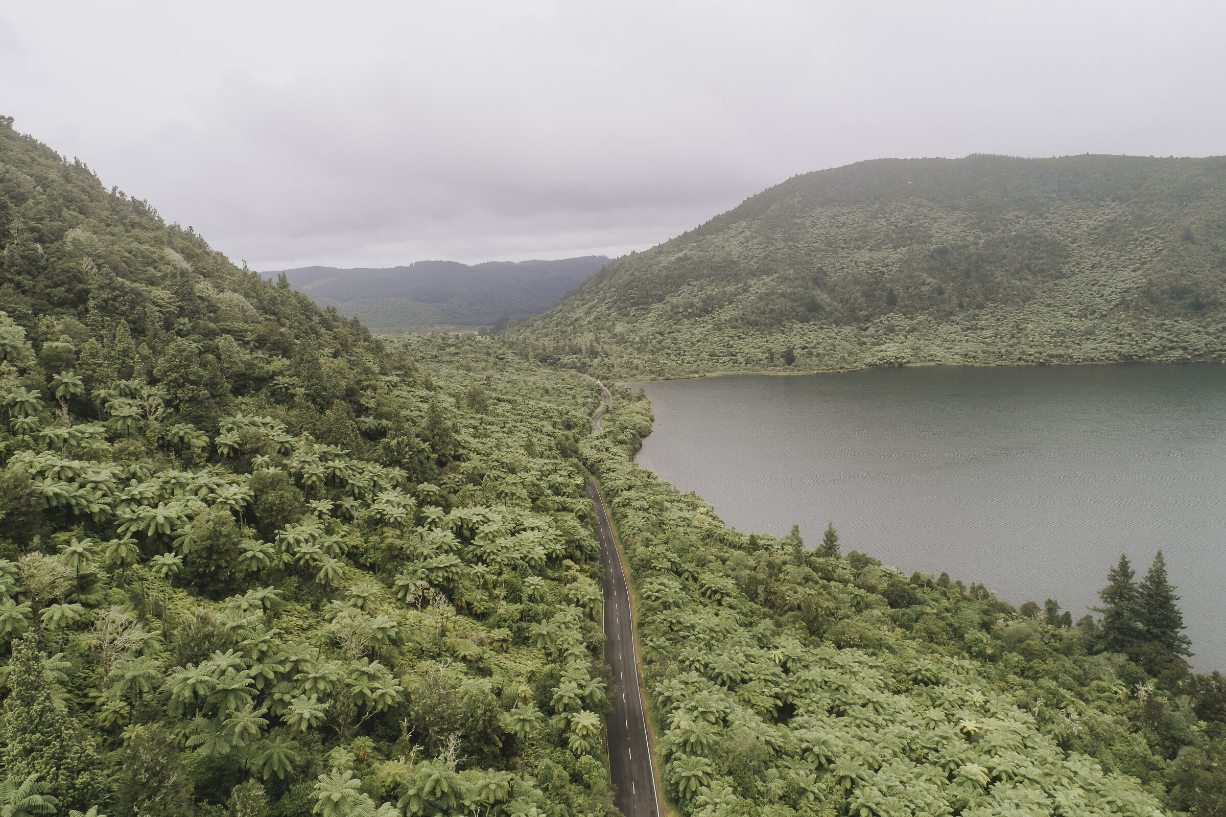 NICKY & SHANE COLOUR | All | Estrada Photographic