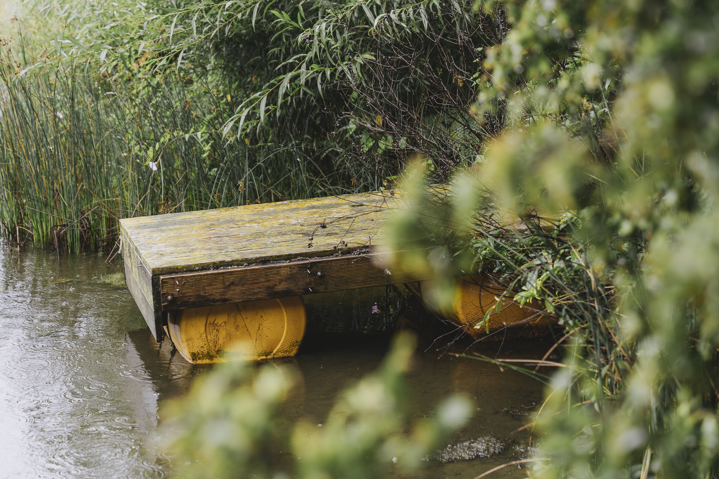 NICKY & SHANE COLOUR | All | Estrada Photographic